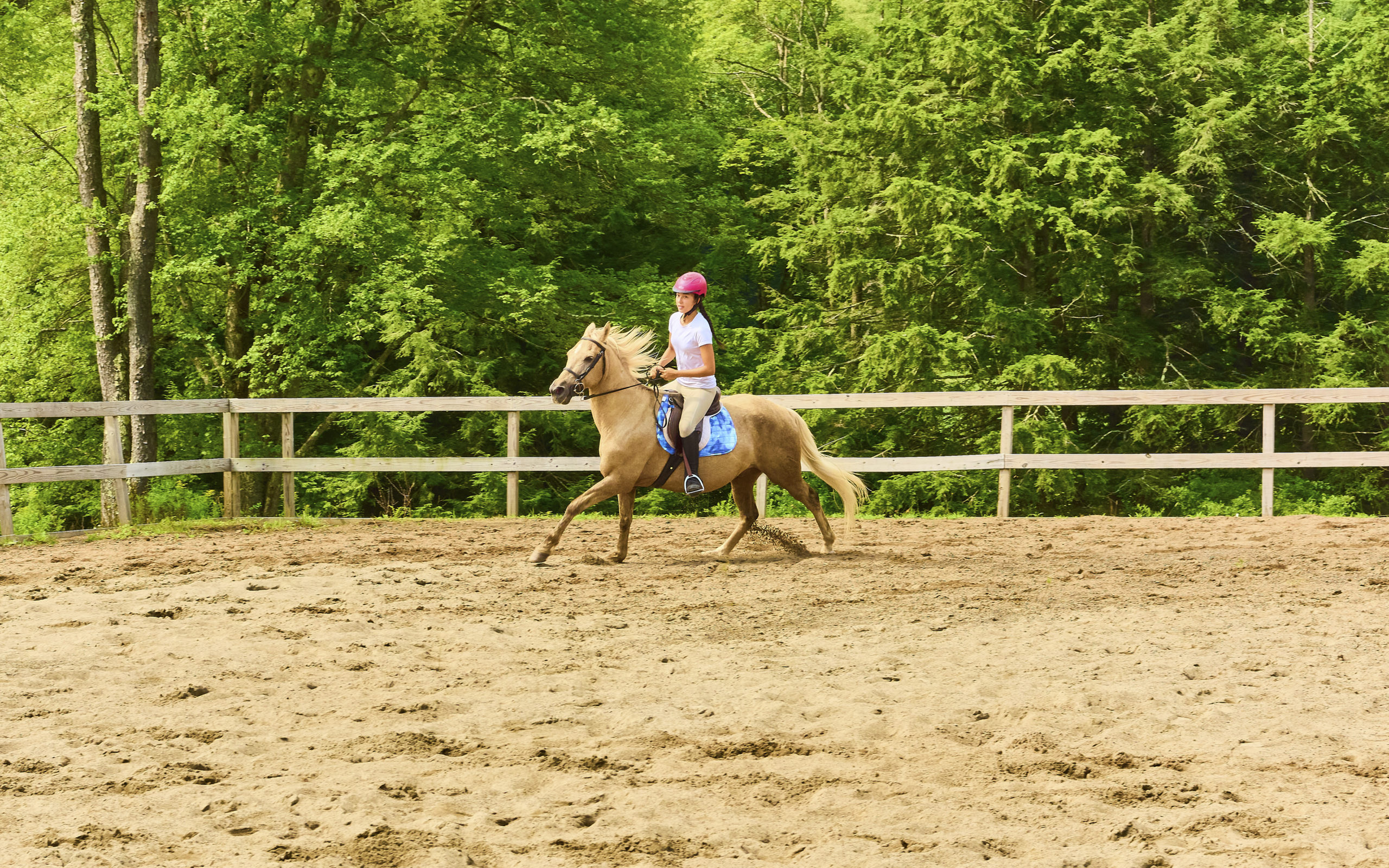 Equestrian Summer Camp - French Woods Sports and Arts Center